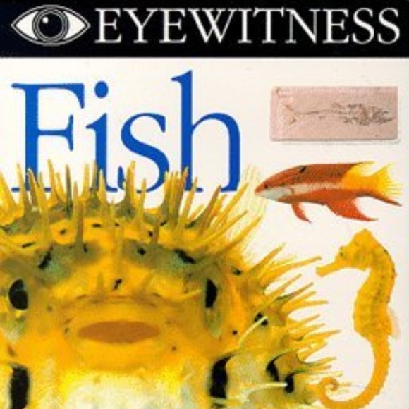 Beyond Bodegas | Other | Eyewitness Fish 995 Vhs Vhs Tape | Poshmark